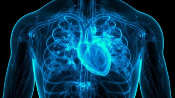 How Heart Disease Affects the Skin – Texas Dermatology